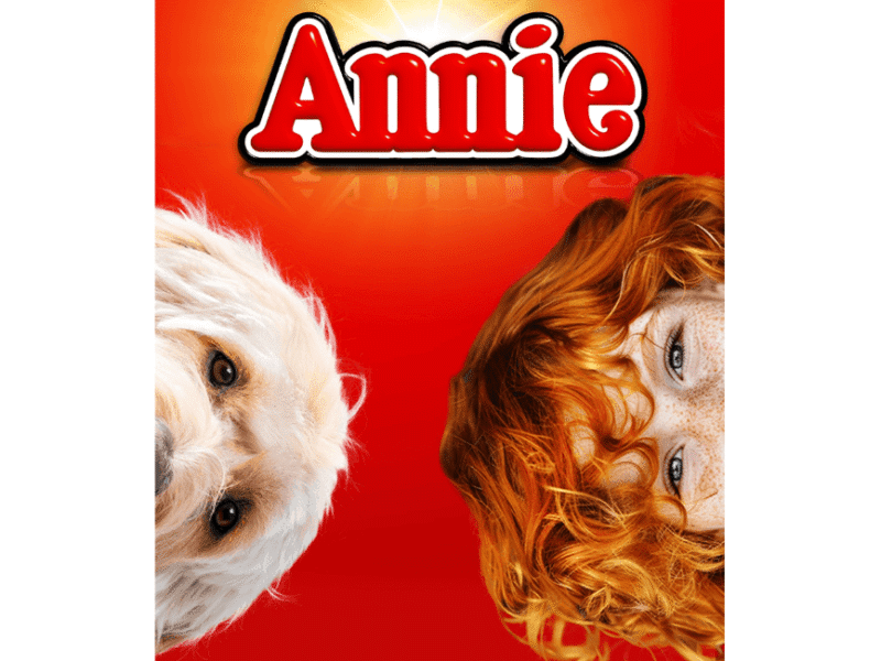 Annie the Musical - Brady Hotels