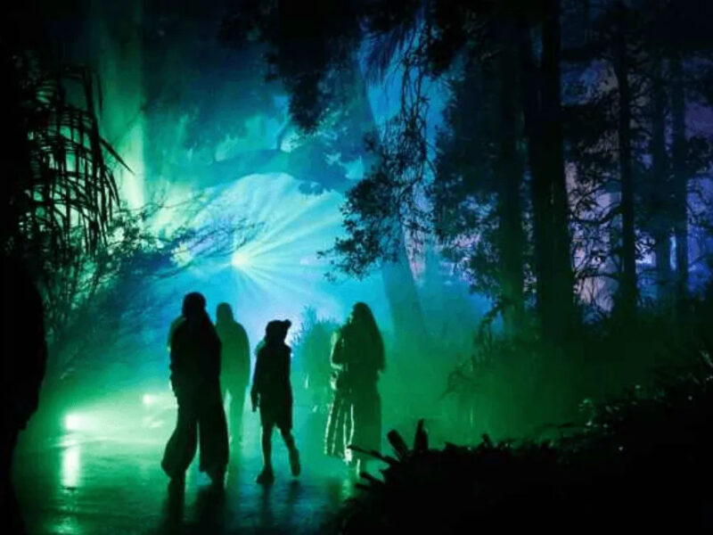 Lightscape 2025 - Brady Hotels